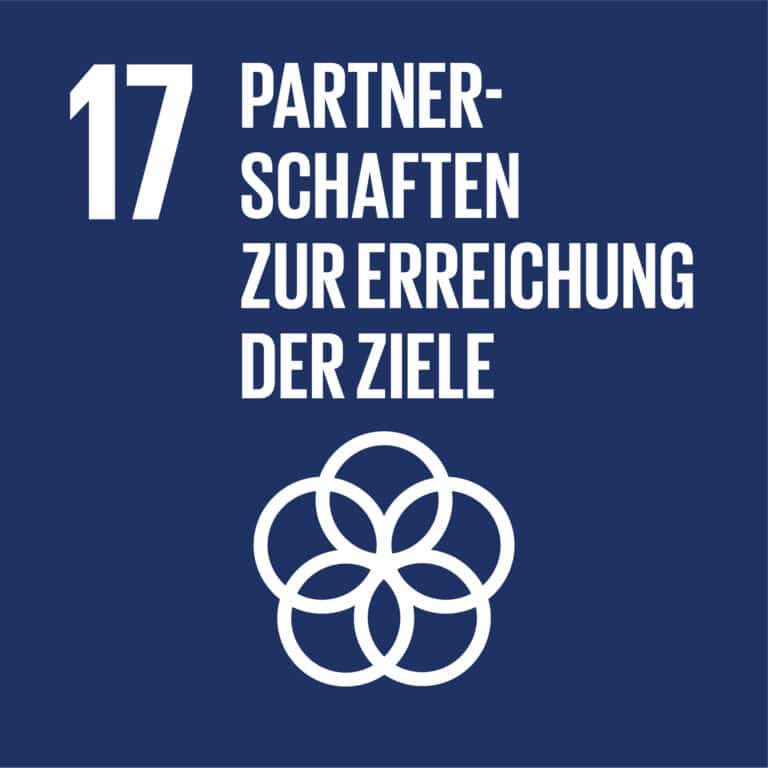 SDG Goal 17: Partnerships for the Goals - Teamfit