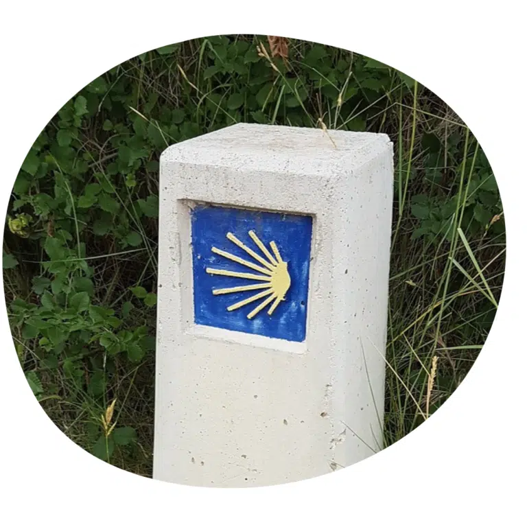 Alles, was du über den Jakobsweg wissen musst - Teamfit